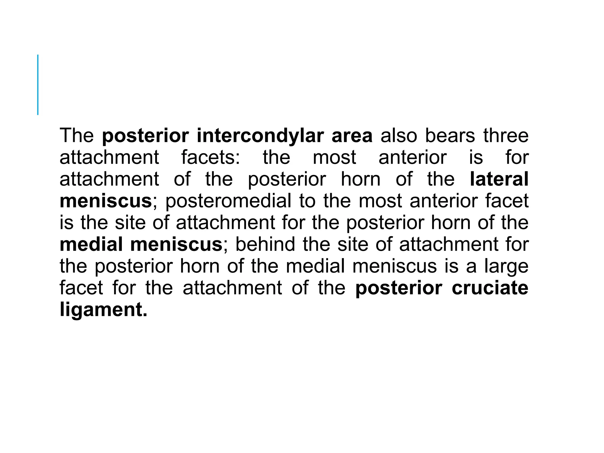 Dr. anurag applied anatomy of knee | PPTX