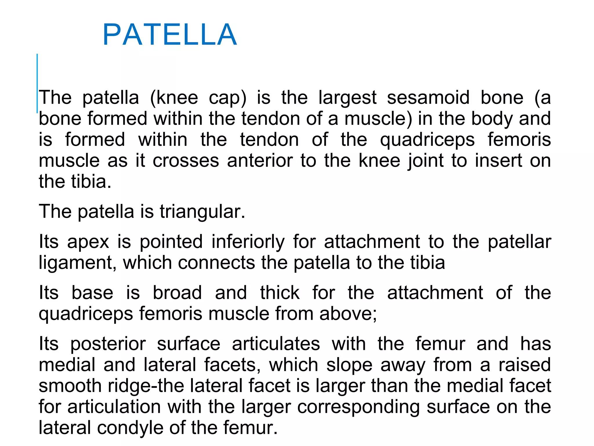 Dr. anurag applied anatomy of knee | PPTX