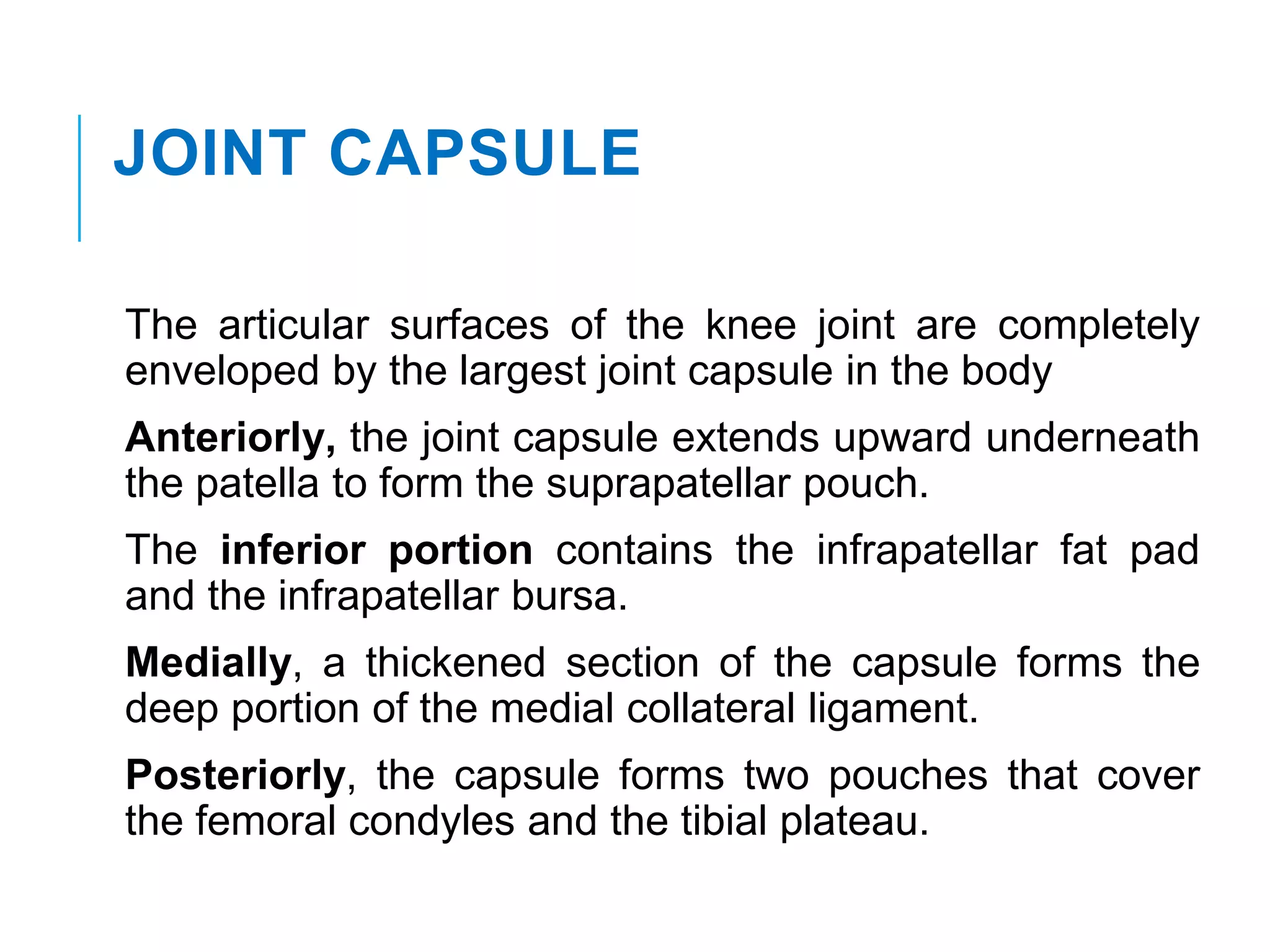 Dr. anurag applied anatomy of knee | PPTX