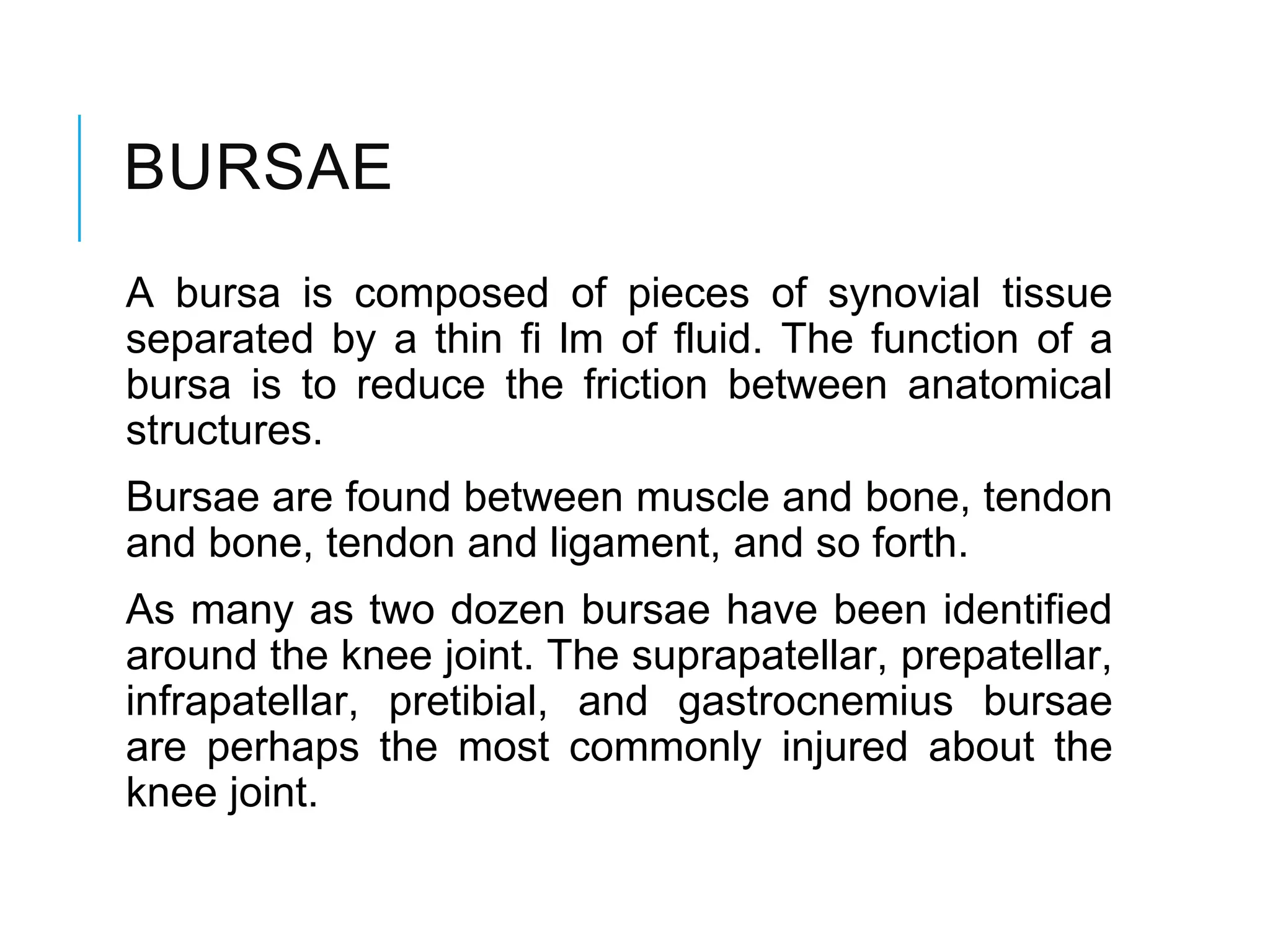 Dr. anurag applied anatomy of knee | PPTX