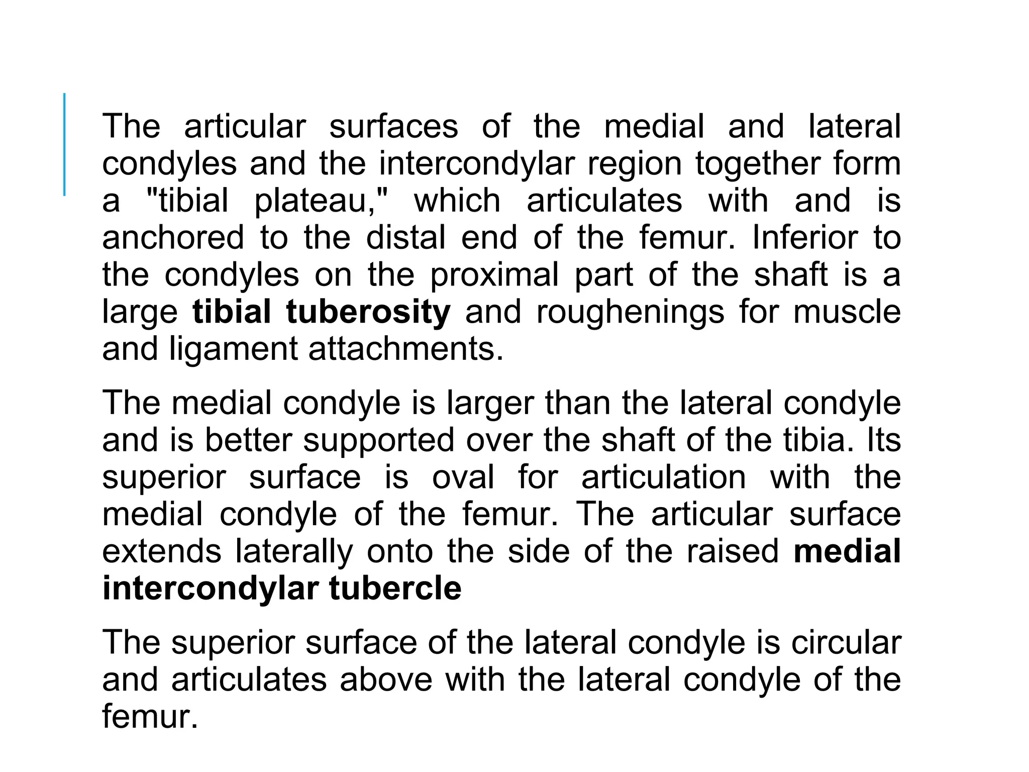 Dr. anurag applied anatomy of knee | PPTX