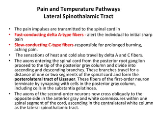 spinal cord and applied aspects of spine | PPTX