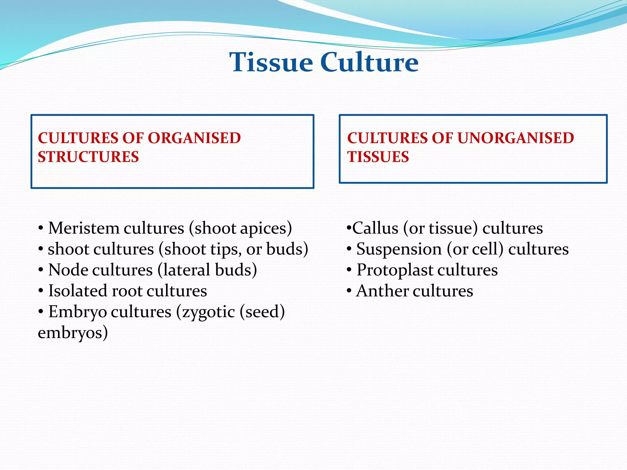 Dr. Rehab Al Mousa. Plant Tissue Culture | PPT