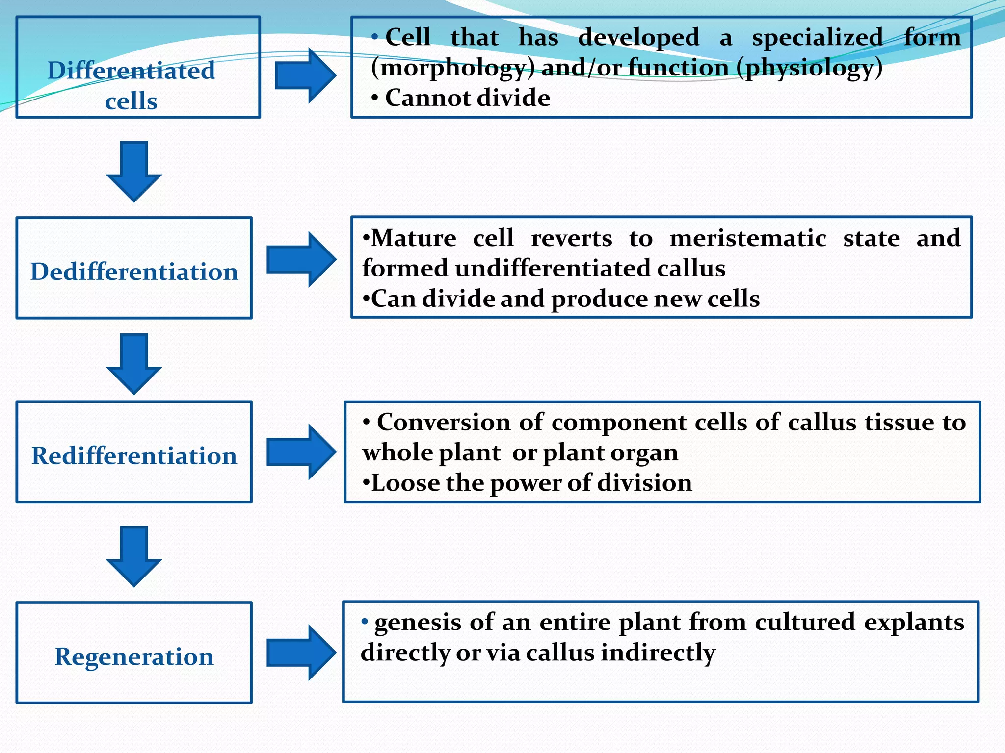 Dr. Rehab Al Mousa. Plant Tissue Culture | PPT