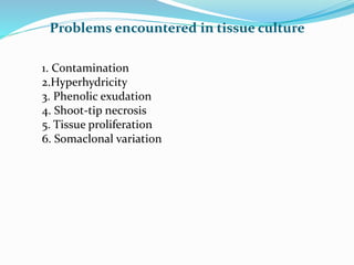 Dr. Rehab Al Mousa. Plant Tissue Culture | PPT