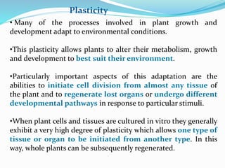 Dr. Rehab Al Mousa. Plant Tissue Culture | PPT
