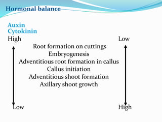 Dr. Rehab Al Mousa. Plant Tissue Culture | PPT