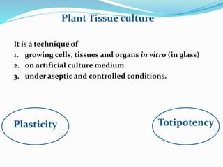 Dr. Rehab Al Mousa. Plant Tissue Culture | PPT