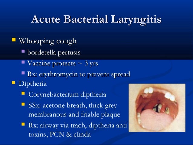 Dr.vijaysundaram,acute & chronic infections larynx ,12.09.16