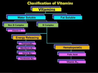 Pernicious Anemia Pathophysiology