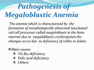 Pernicious Anemia Pathophysiology