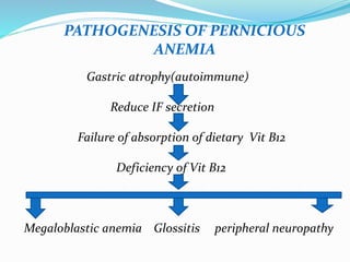 Pernicious Anemia Pathophysiology