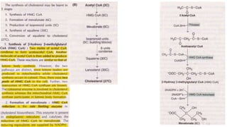 Dr. Prabhakar Singh SEM-III_PG and Cholesterol Metabolism | PPTX