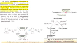 Dr. Prabhakar Singh SEM-III_Metabolism of Protein and Amino Acids | PPTX