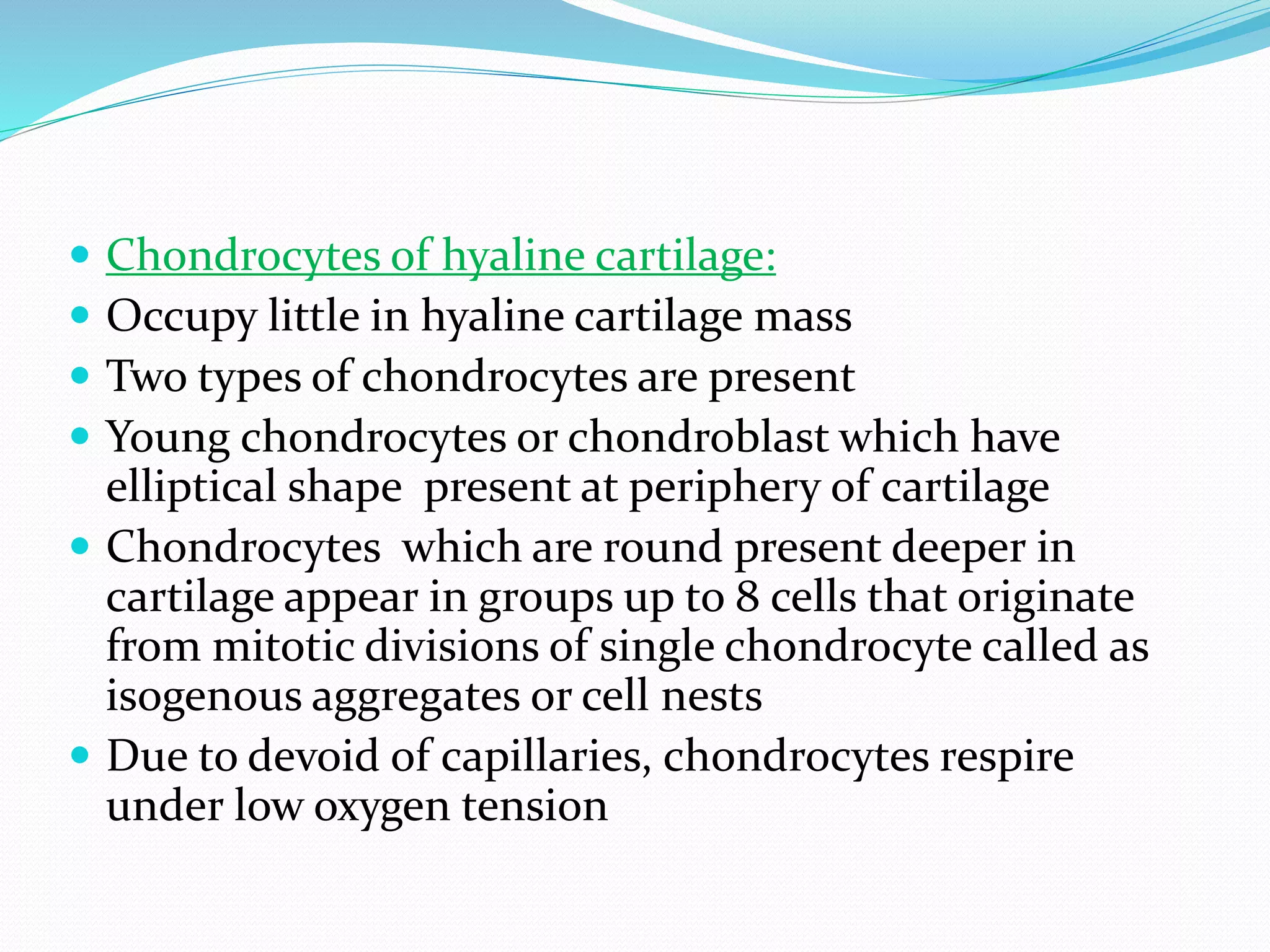 CARTILAGE | PPTX