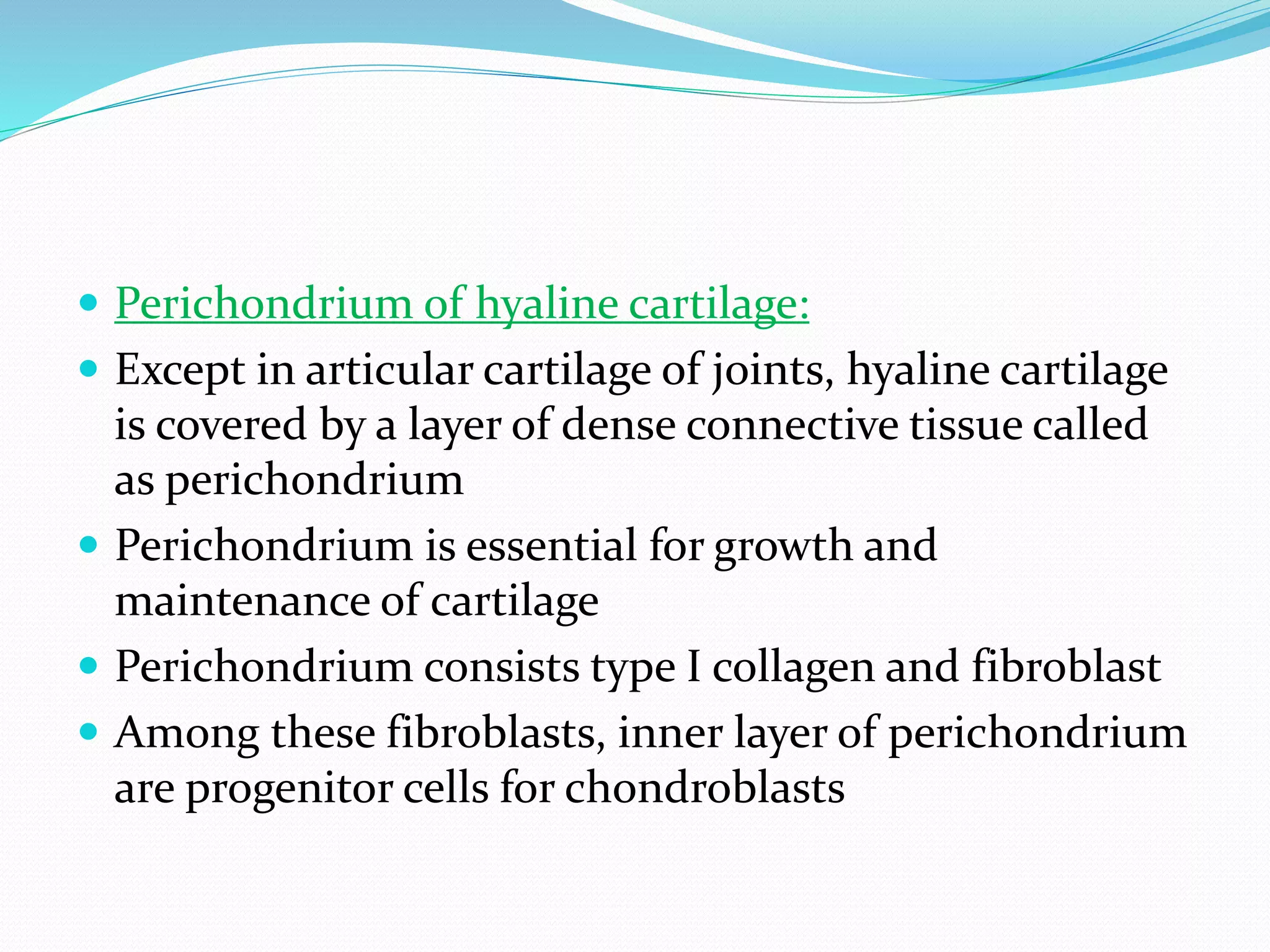 CARTILAGE | PPTX