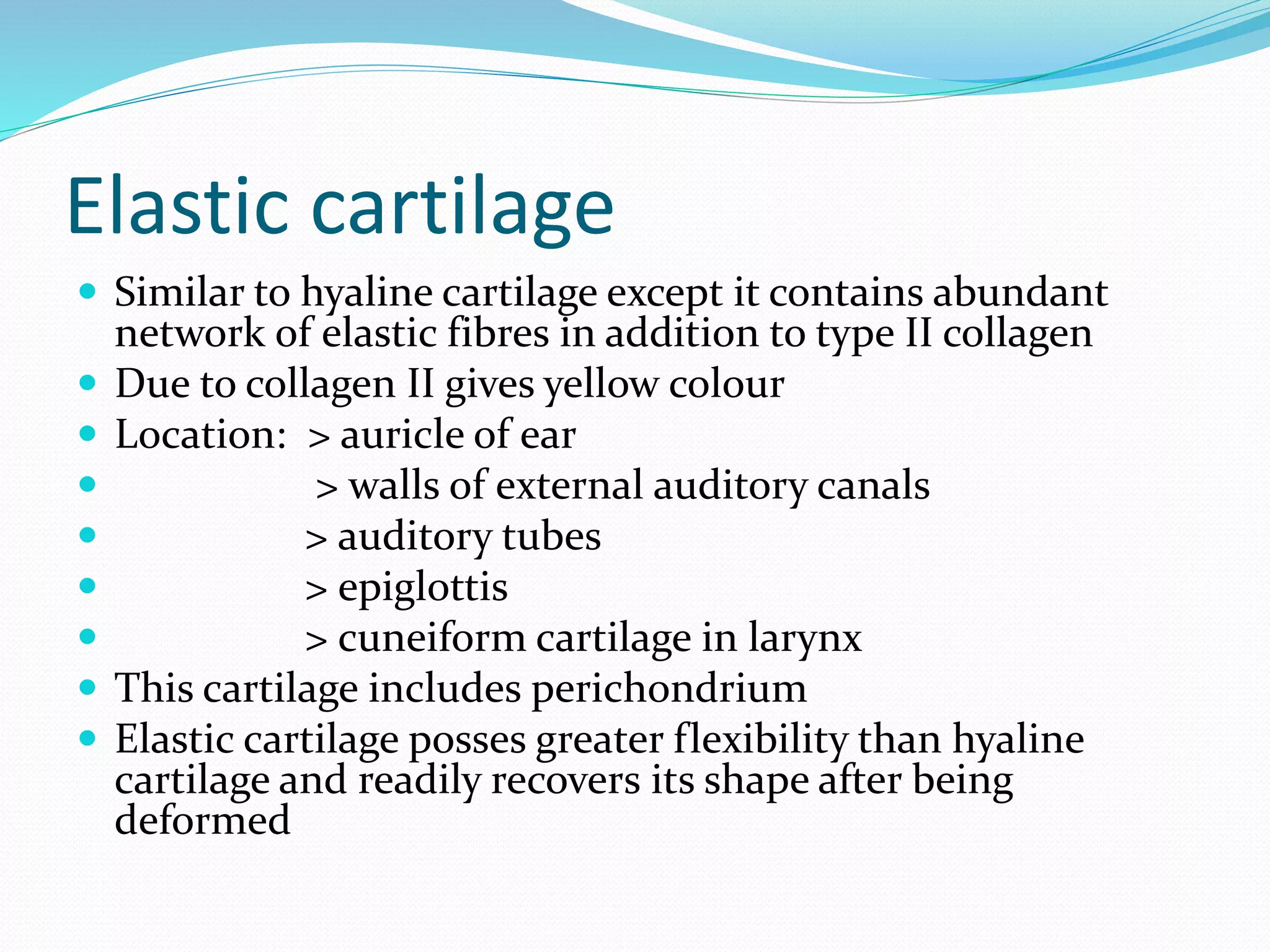 CARTILAGE | PPTX