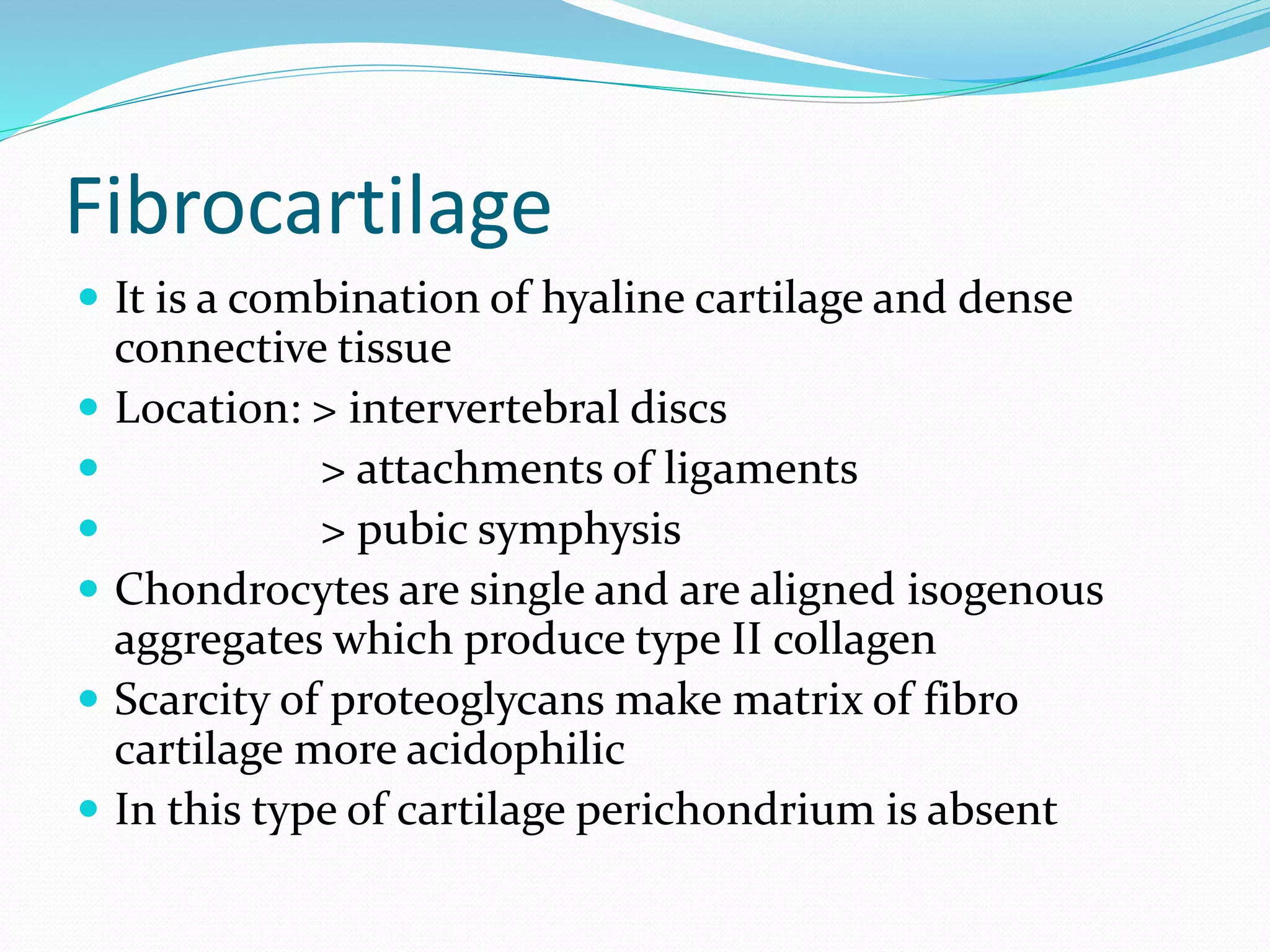 CARTILAGE | PPTX