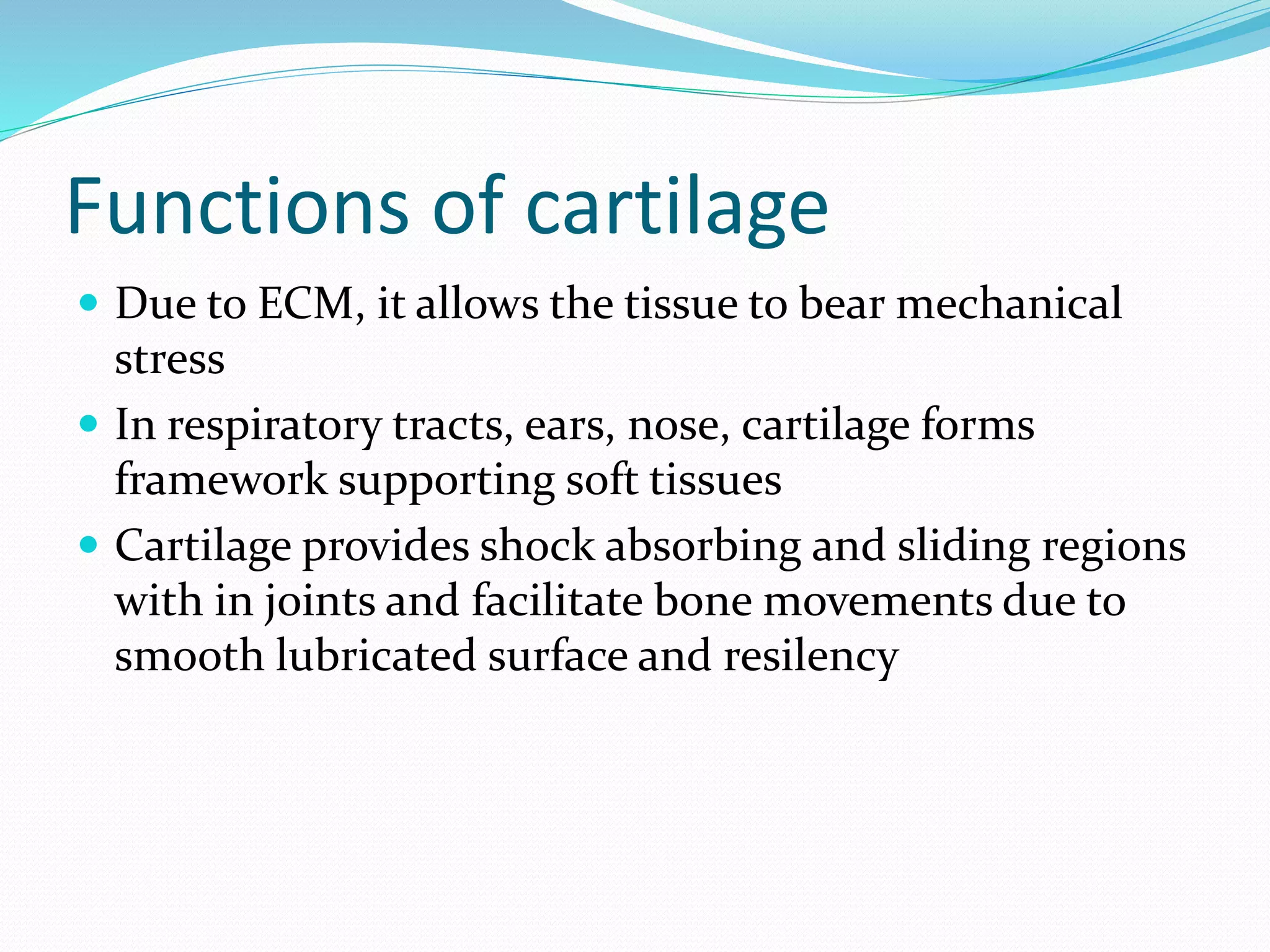 CARTILAGE | PPTX