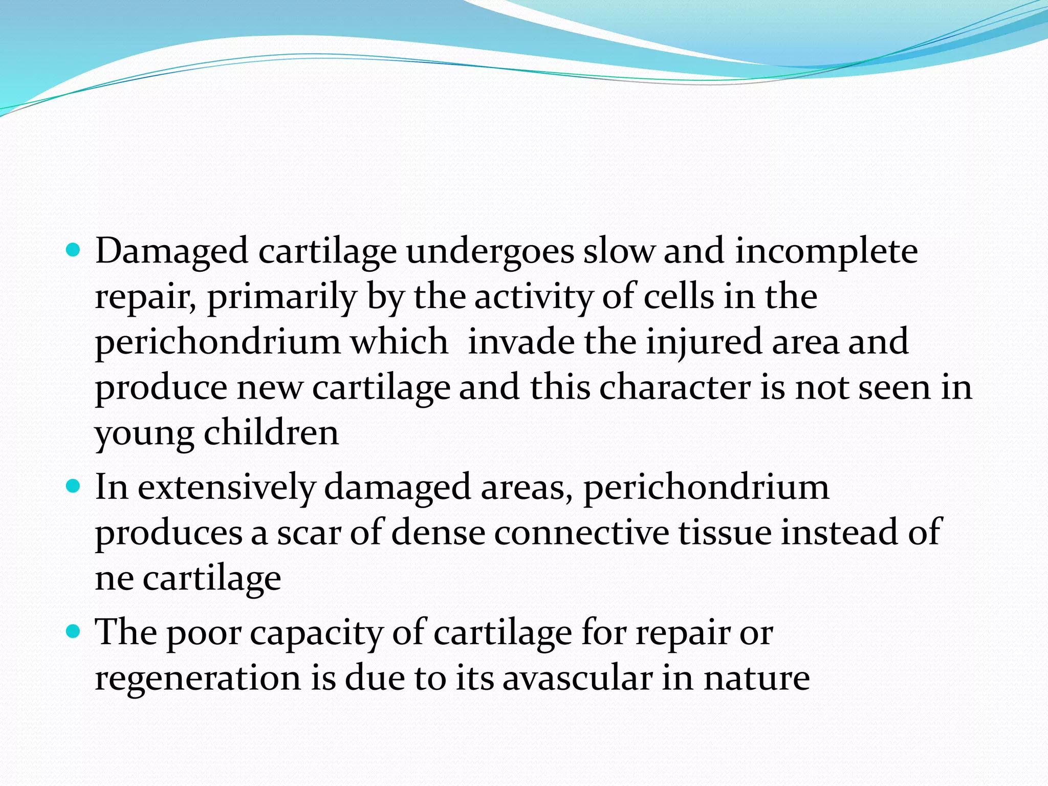 CARTILAGE | PPTX