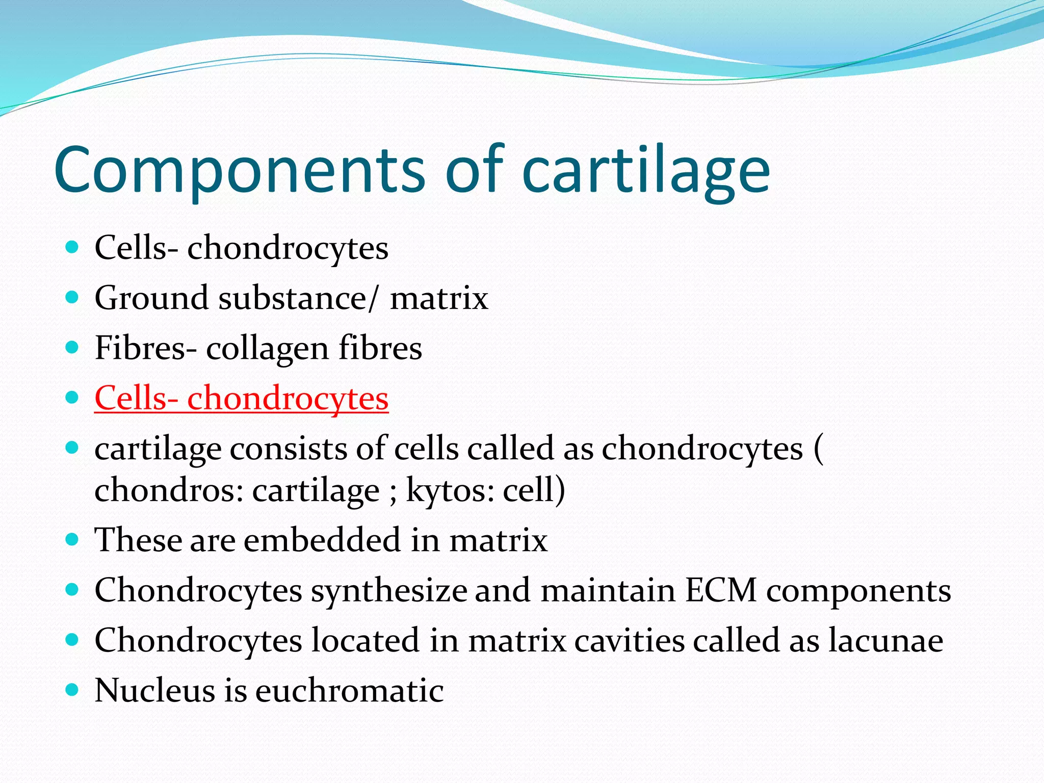CARTILAGE | PPTX