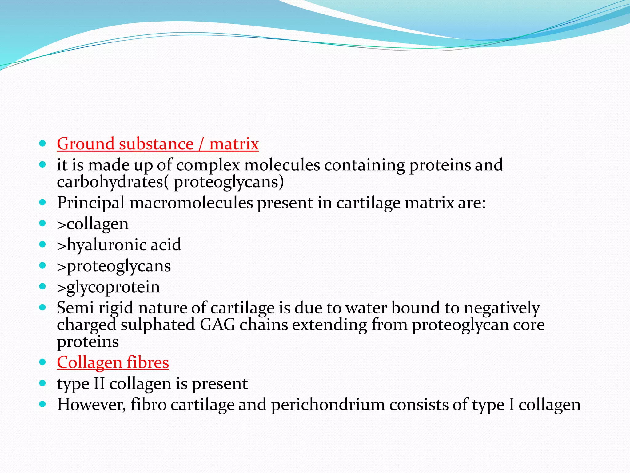 CARTILAGE | PPTX