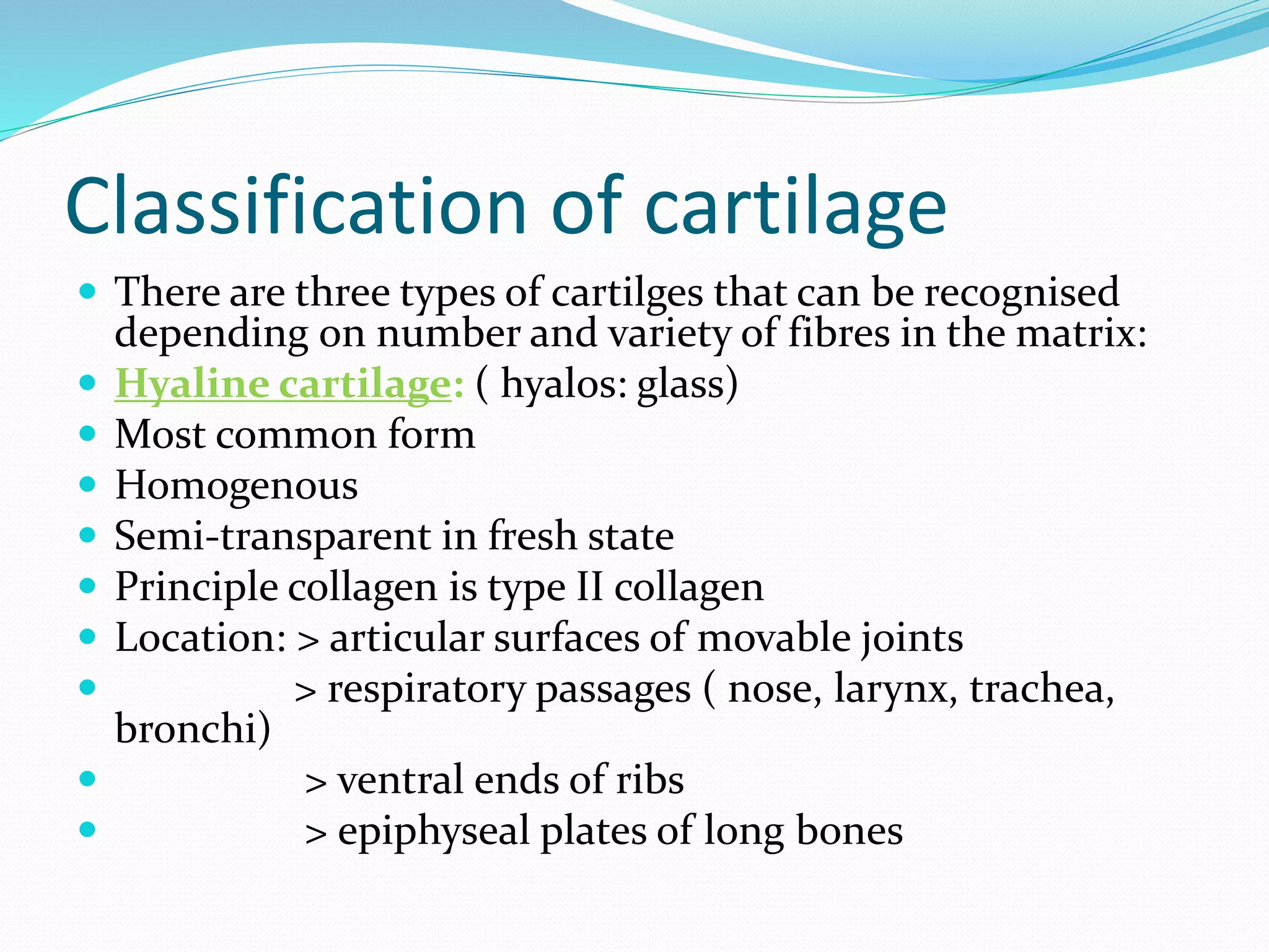 CARTILAGE | PPTX