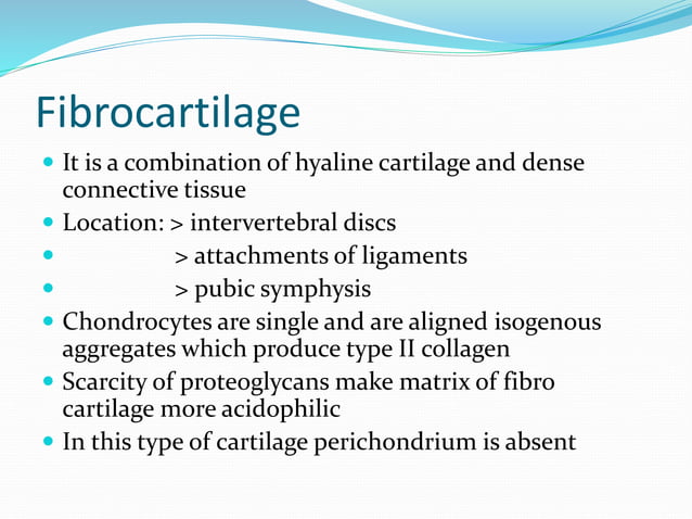 CARTILAGE | PPTX