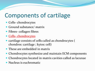 CARTILAGE | PPTX