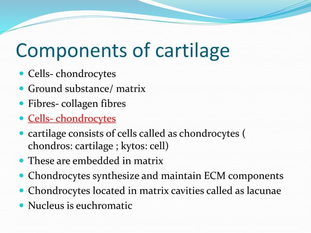 CARTILAGE | PPTX