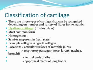 CARTILAGE | PPTX