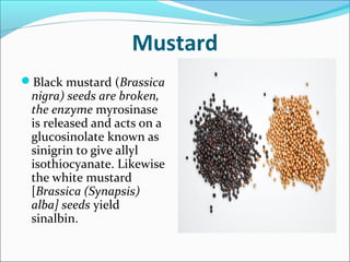 Dr. pardeep kumar ancient agriculture | PPT