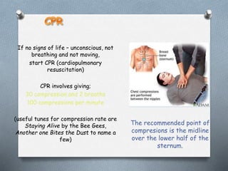 basic life support | PPTX