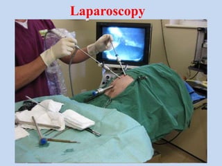 Principles and diagnostic use of Endoscopy in canines | PPTX