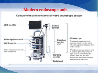 Principles and diagnostic use of Endoscopy in canines | PPTX