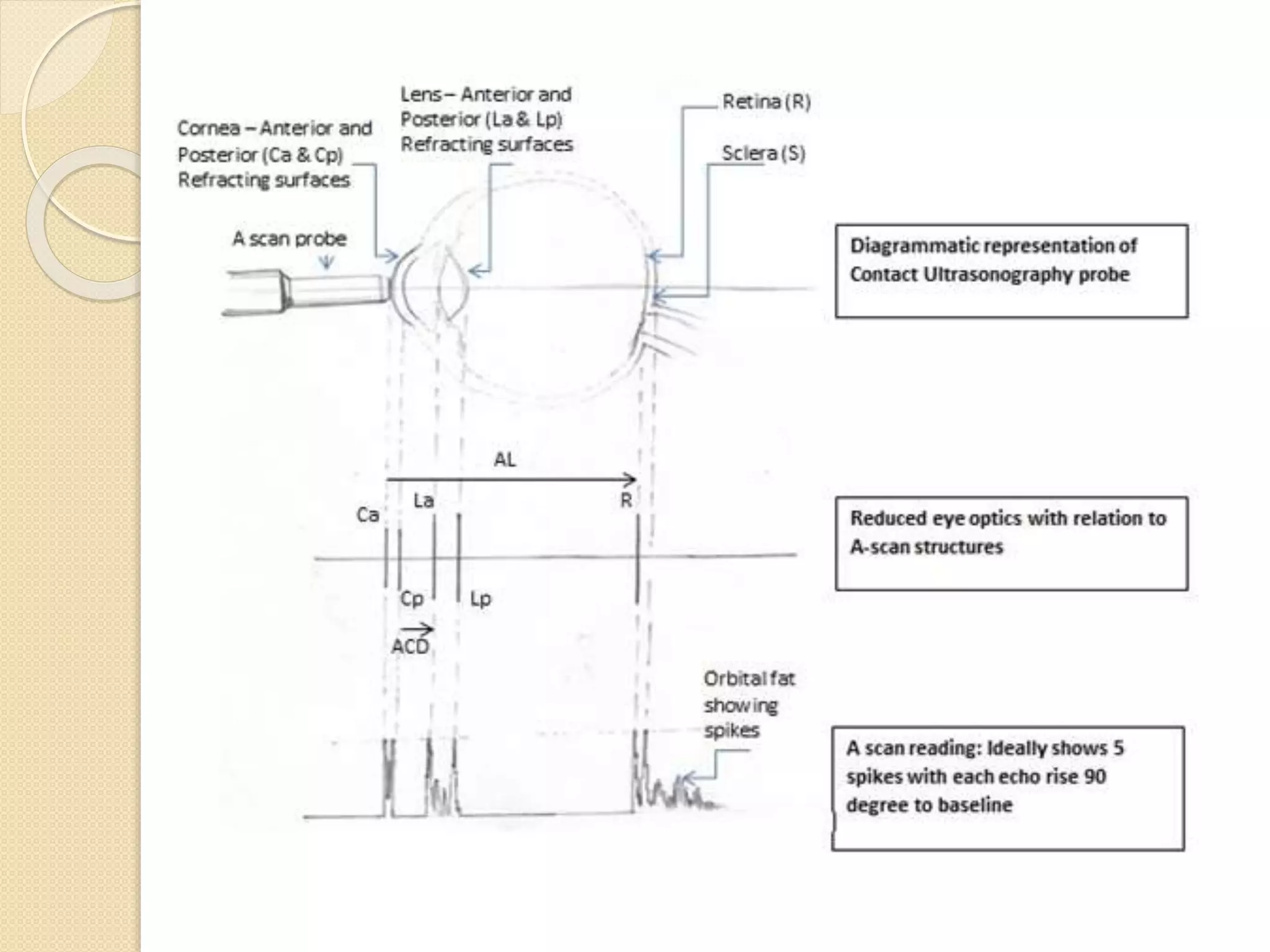 A Scan- Basics and Update | PPTX