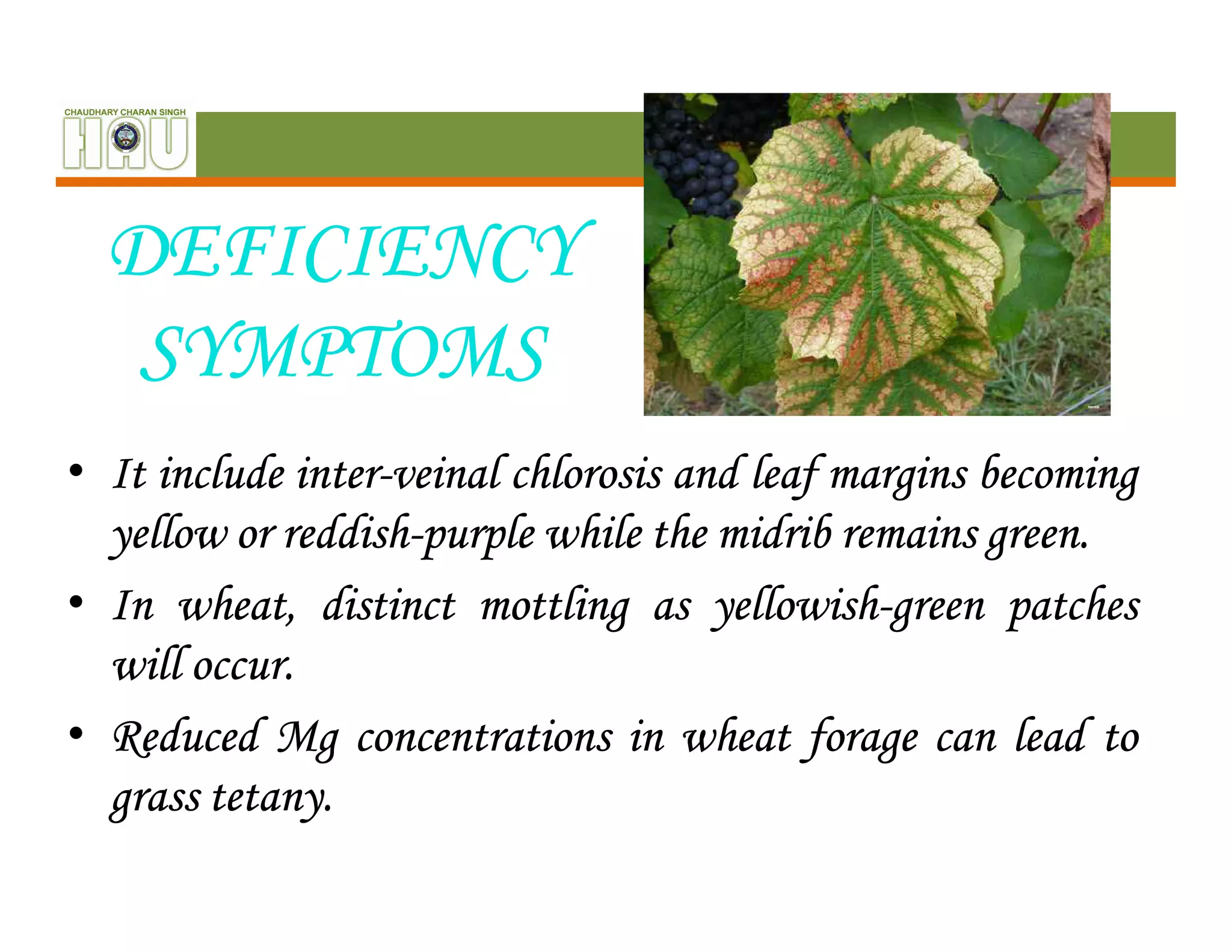 Dr. kiran khokhar, Role of essential plants nutrients and their ...