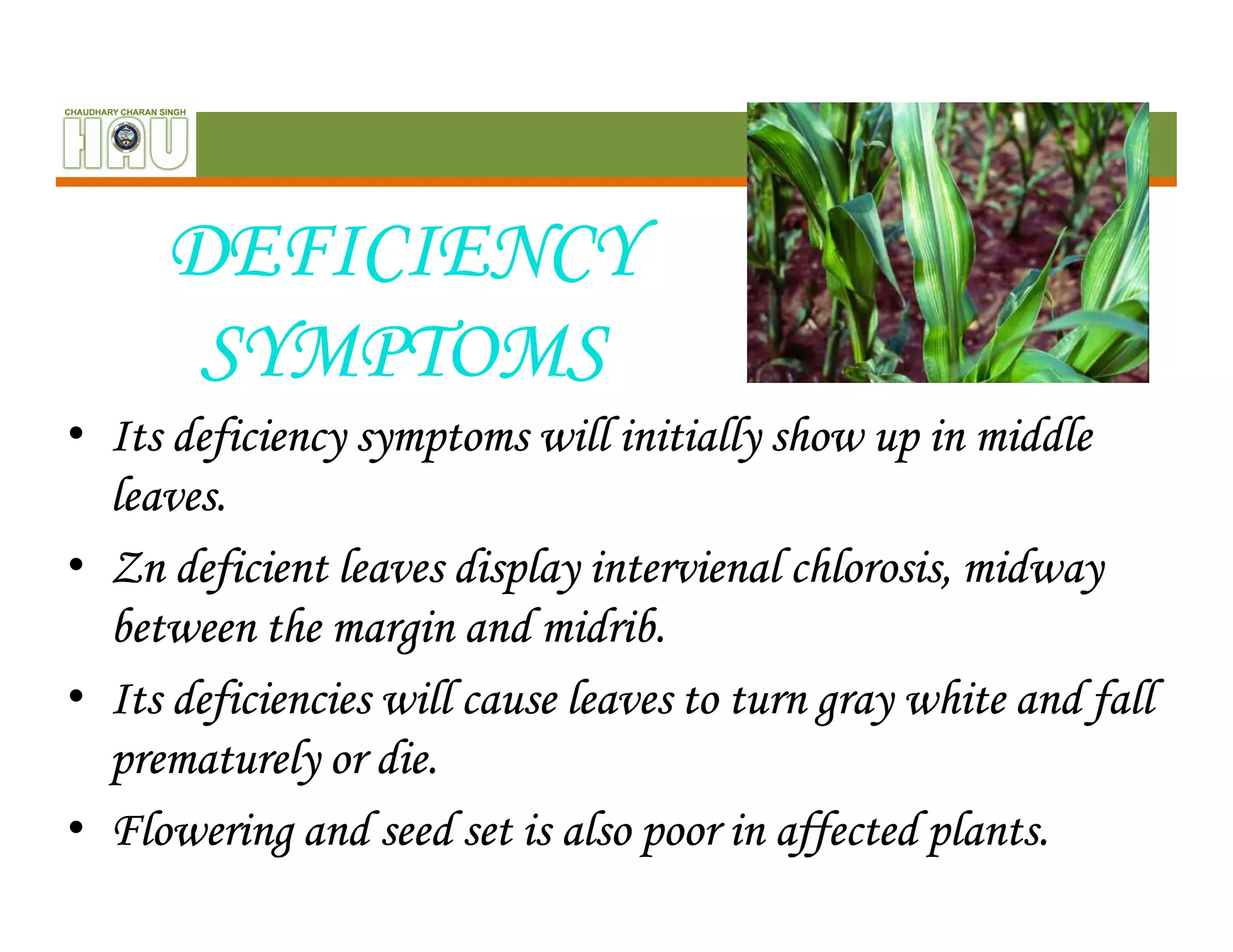 Dr. kiran khokhar, Role of essential plants nutrients and their ...