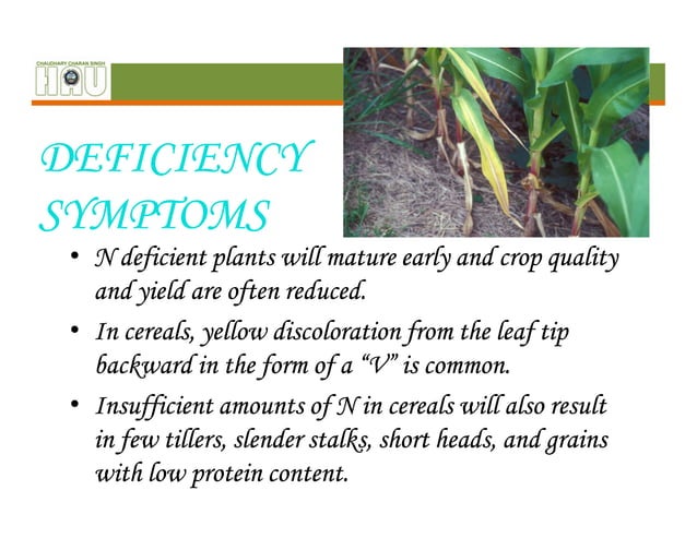 Dr. kiran khokhar, Role of essential plants nutrients and their ...