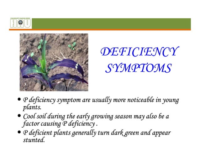 Dr. kiran khokhar, Role of essential plants nutrients and their ...