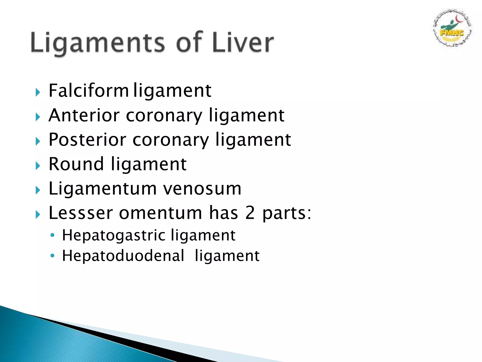 Anatomy of Liver Presentation | PPTX