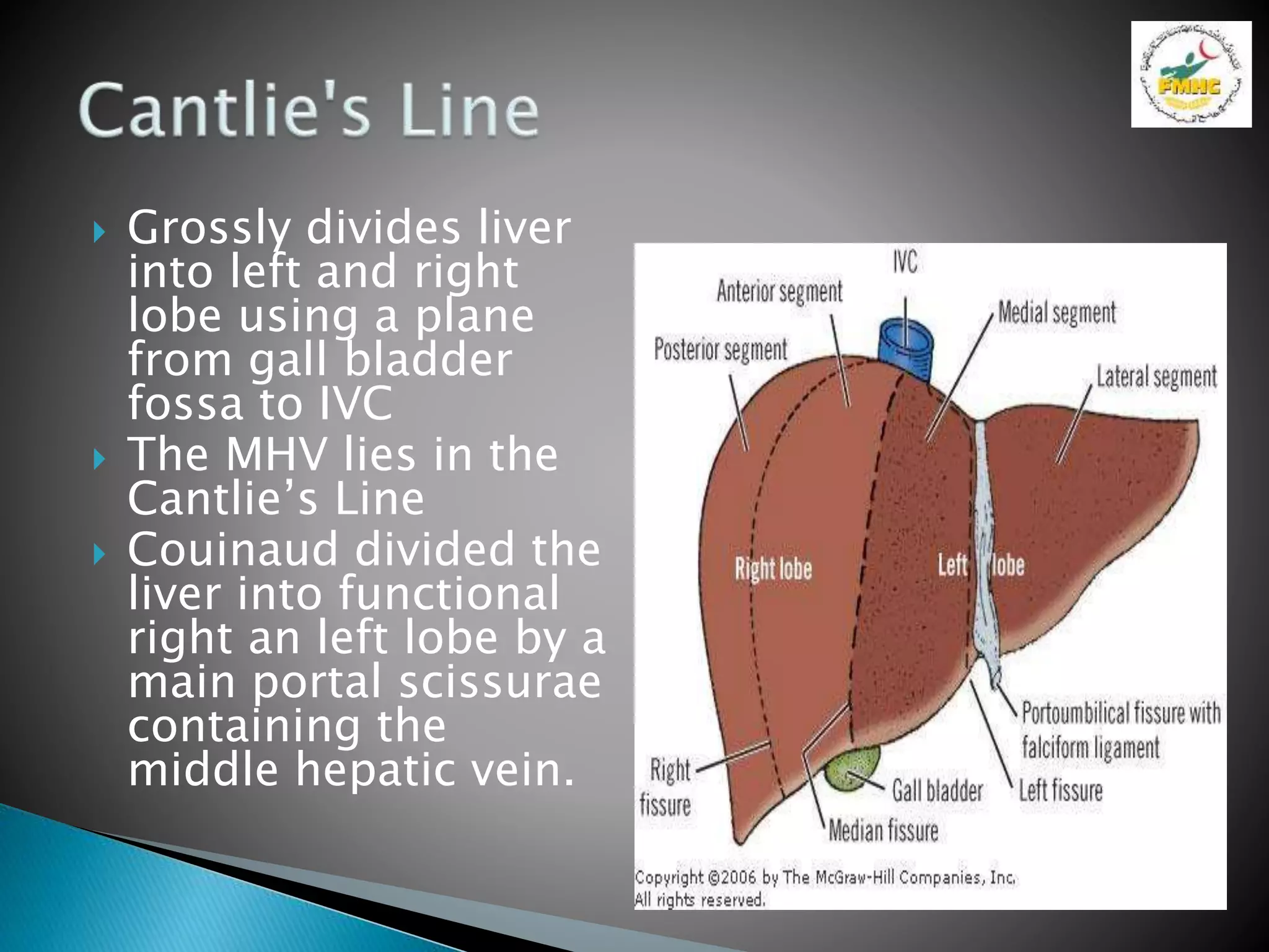 Anatomy of Liver Presentation | PPTX