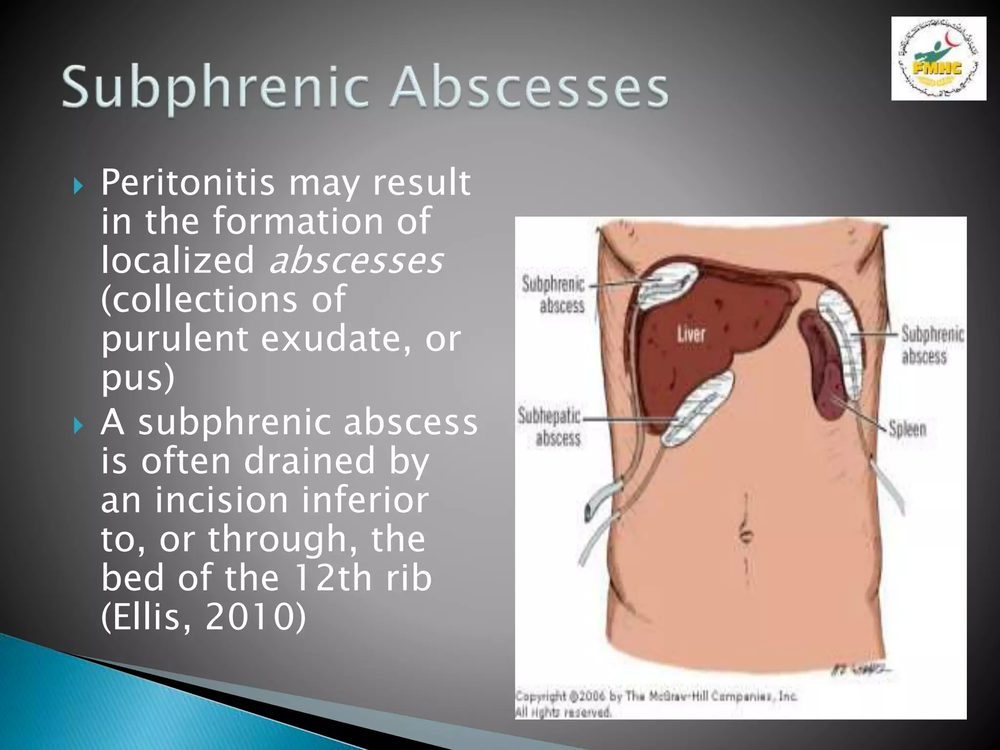 Anatomy of Liver Presentation | PPTX