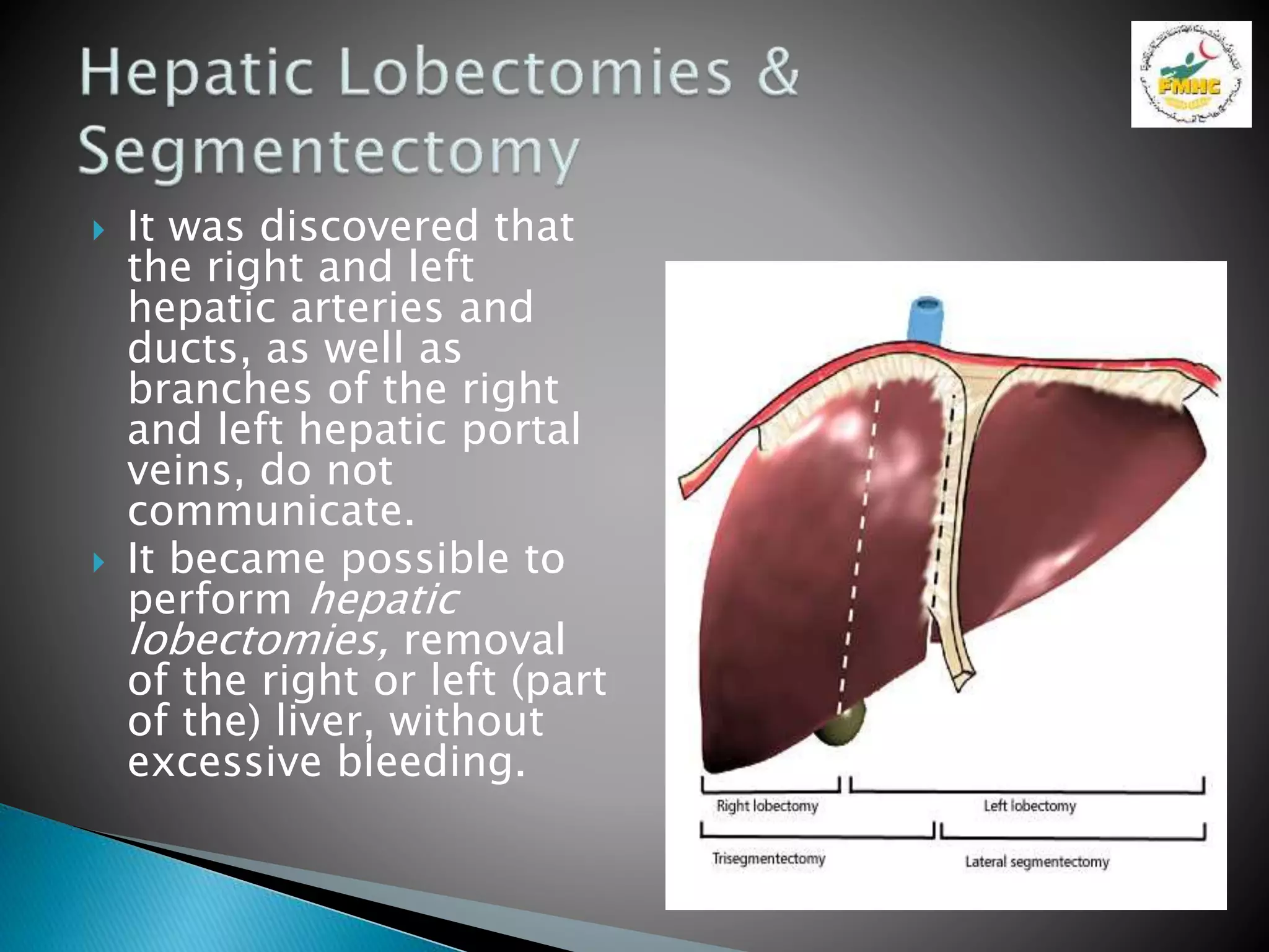 Anatomy of Liver Presentation | PPTX