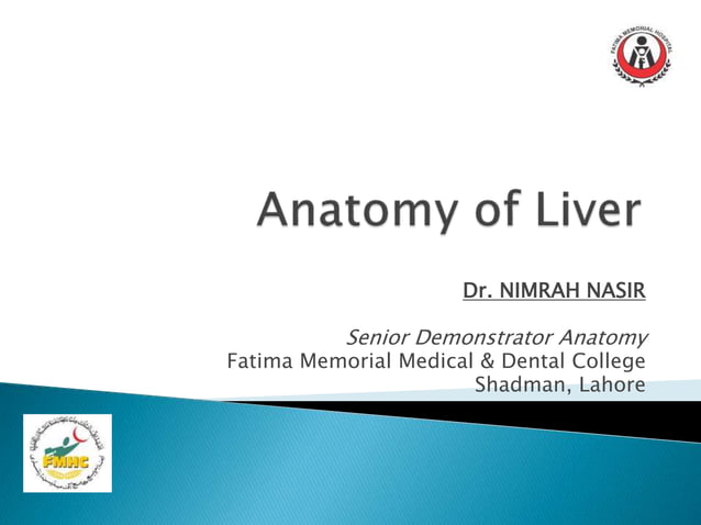 Anatomy of Liver Presentation | PPTX