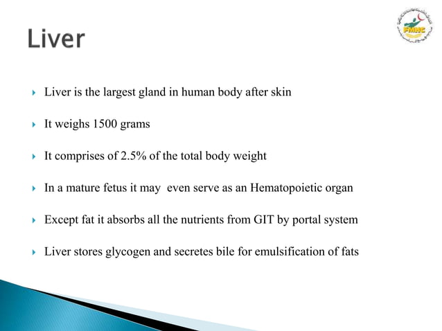Anatomy of Liver Presentation | PPTX