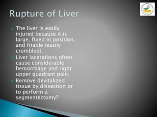 Anatomy of Liver Presentation | PPTX