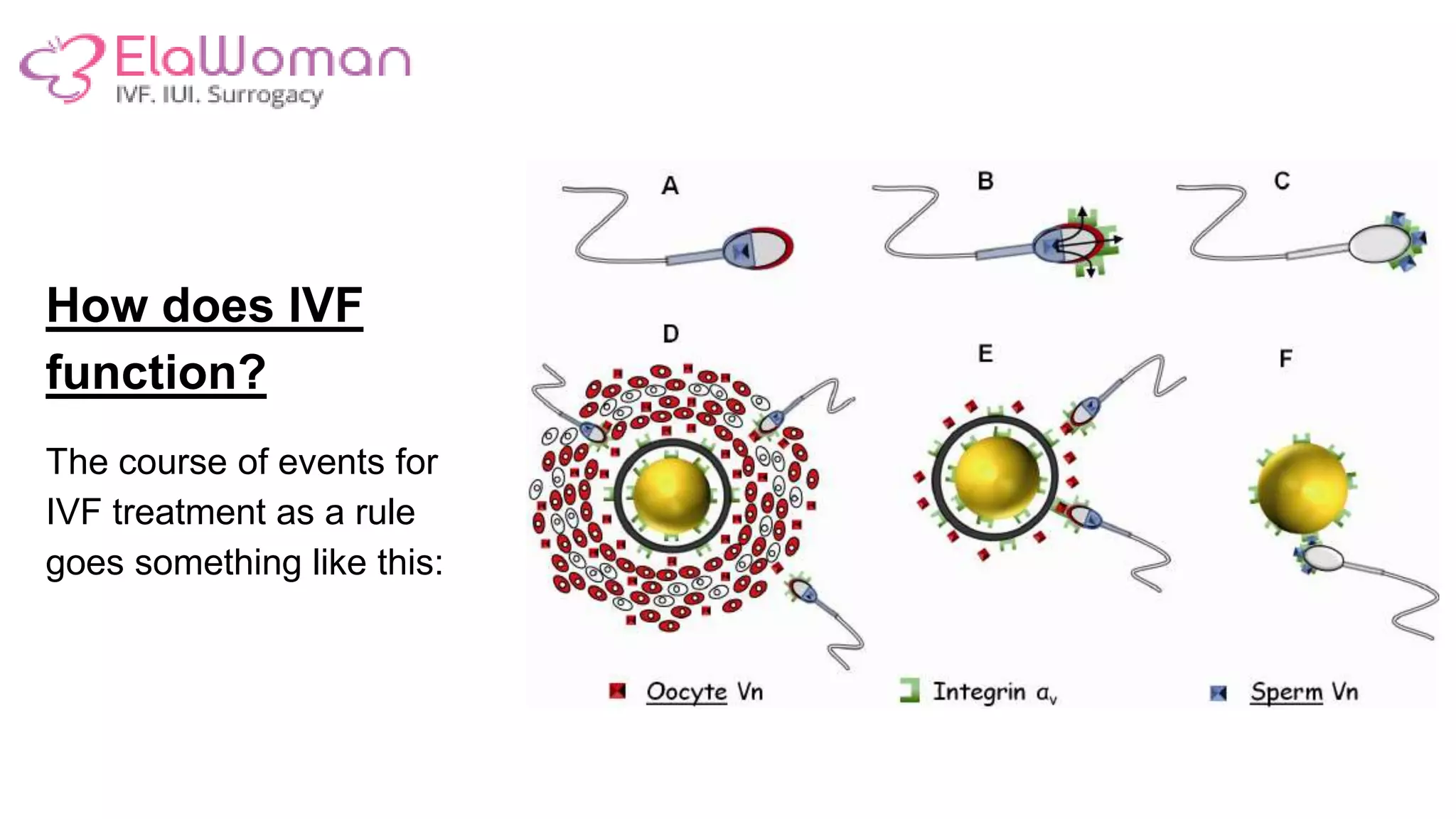Dr. indranil saha | PPTX