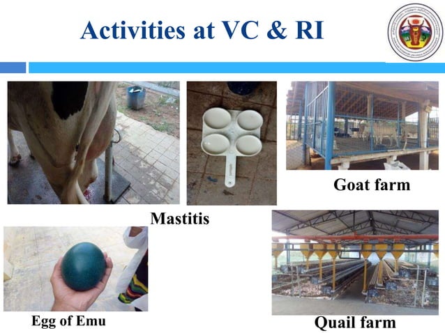 || INTERN’S ACTIVITIES || 15th Internship Program ||2017|| BAU ...