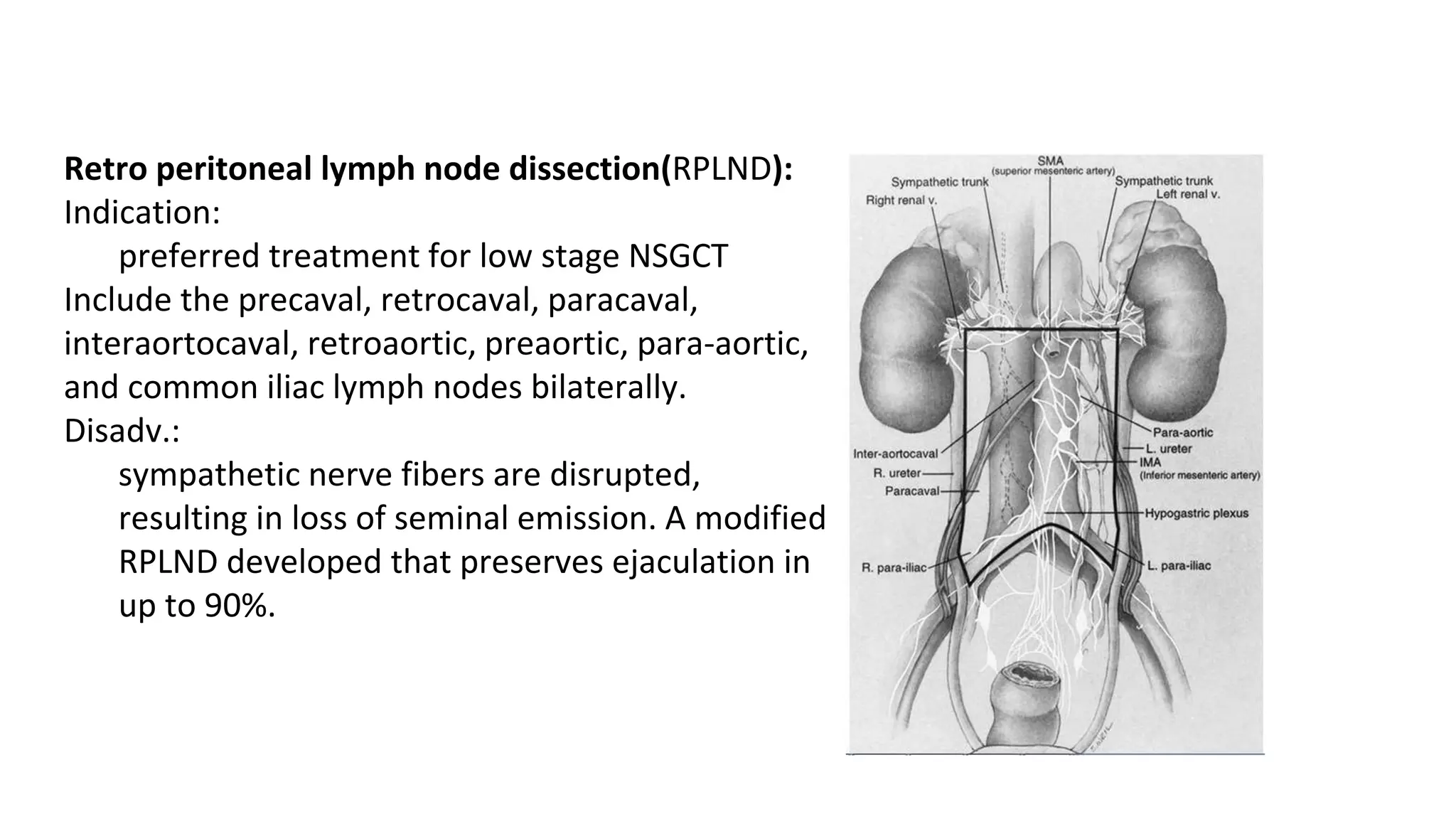 testicular tumors | PPTX